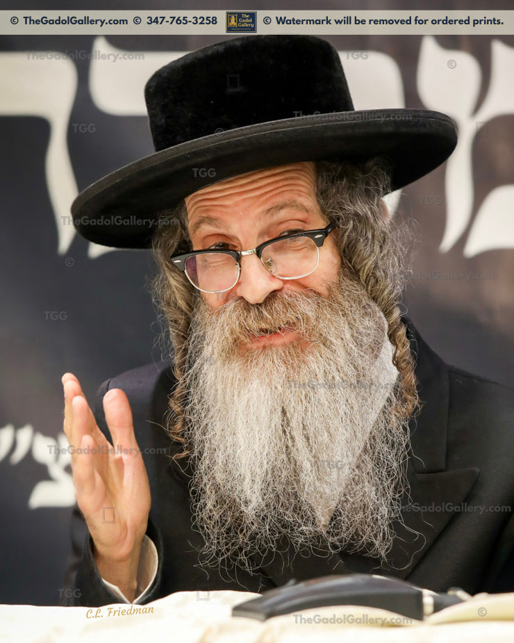 Rav Nachman Biderman - 5 - רב נחמן בידרמן – The Gadol Gallery