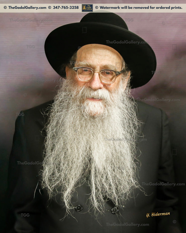 Rav Yerucham Olshin -4- רב ירוחם אלשין – The Gadol Gallery
