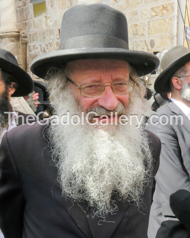 Rav Yaakov Eliezer Schwartzman Sukkah Poster – The Gadol Gallery