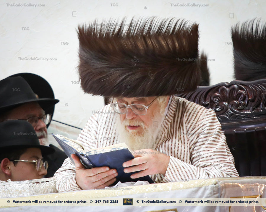 The Toldos Ahron Rebbe -5- האדמו"ר מתולדות אהרן – The Gadol Gallery